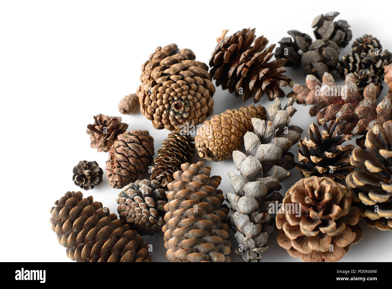 Pine cones from above hi-res stock photography and images - Alamy