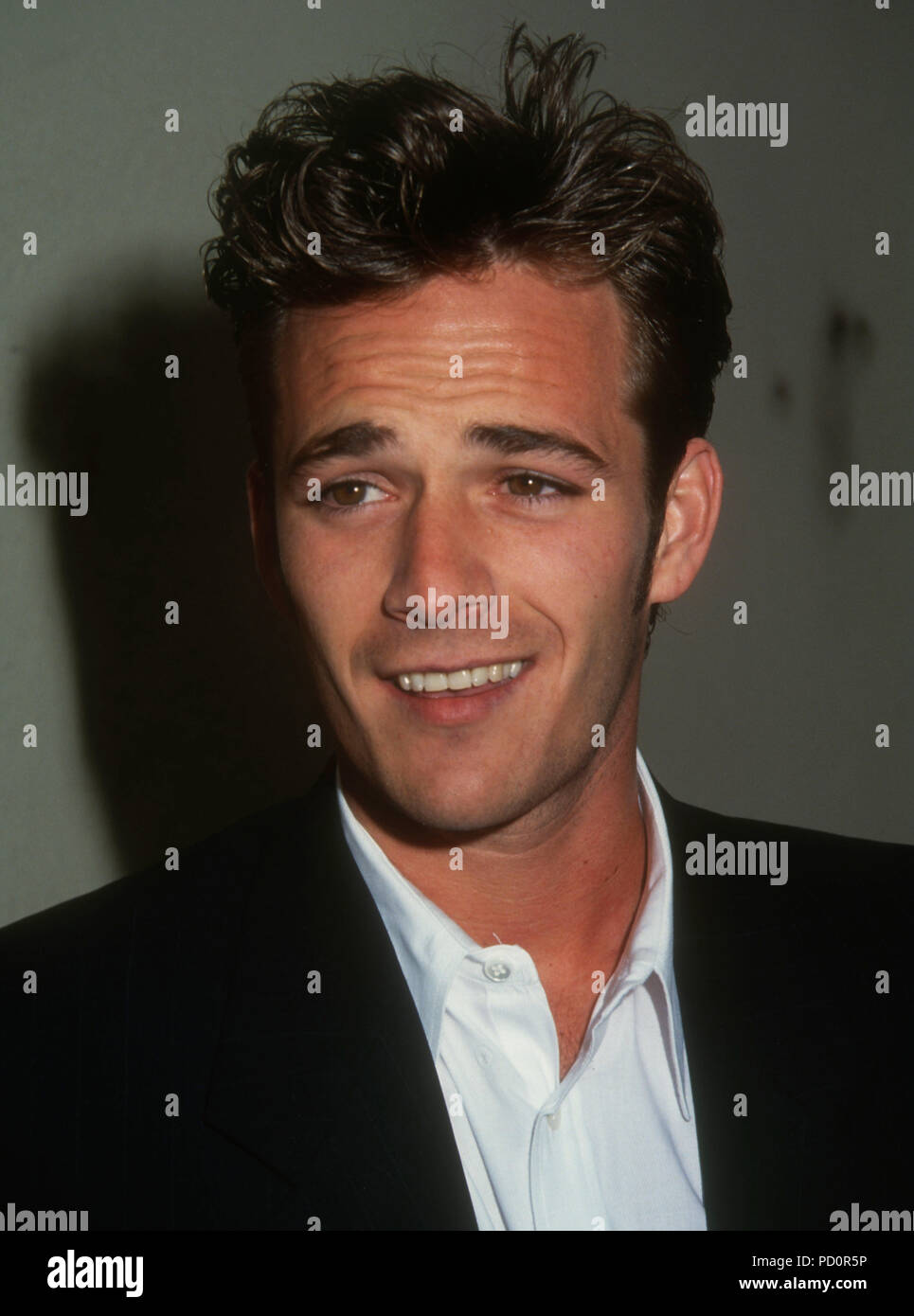 BURBANK, CA - JUNE 5: Actor Luke Perry attends the First Annual MTV ...