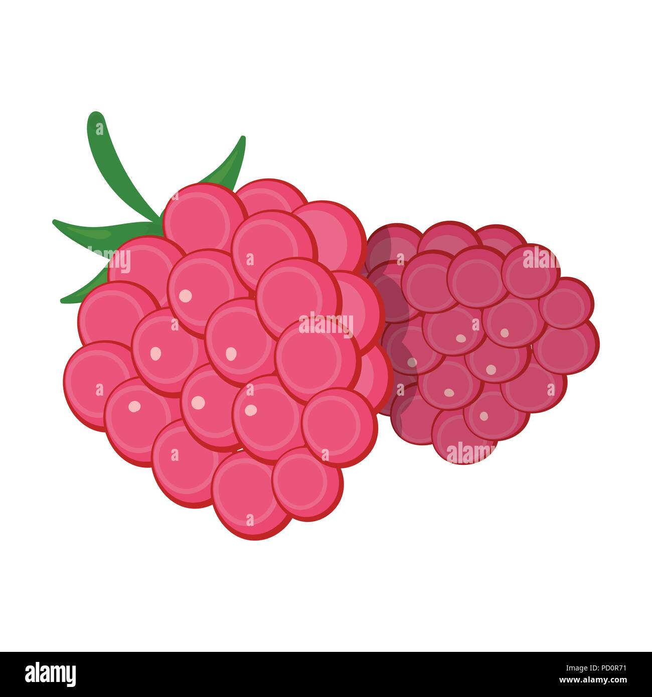 Cartoon Raspberries