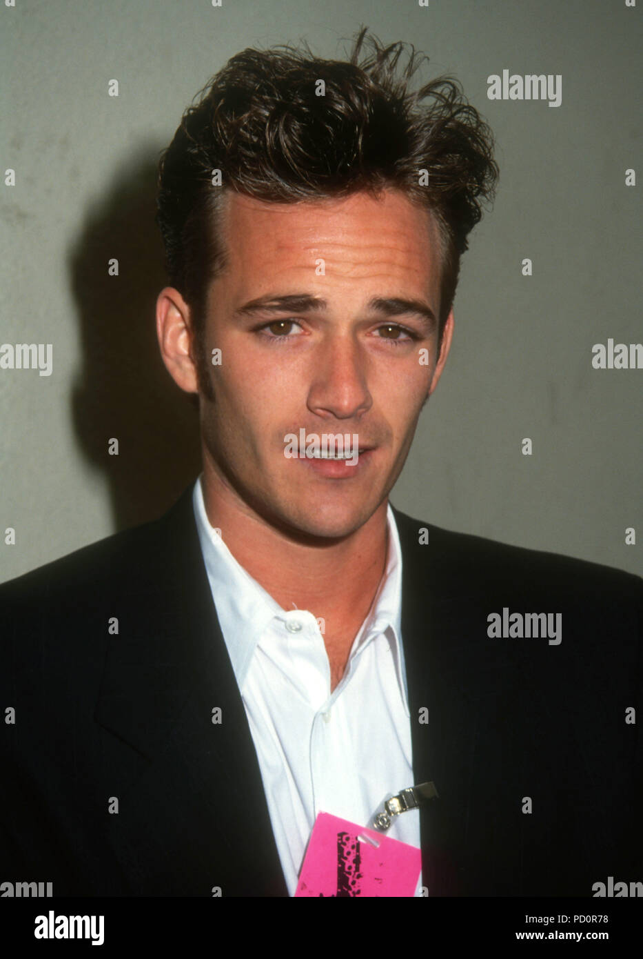 BURBANK, CA - JUNE 5: Actor Luke Perry attends the First Annual MTV ...