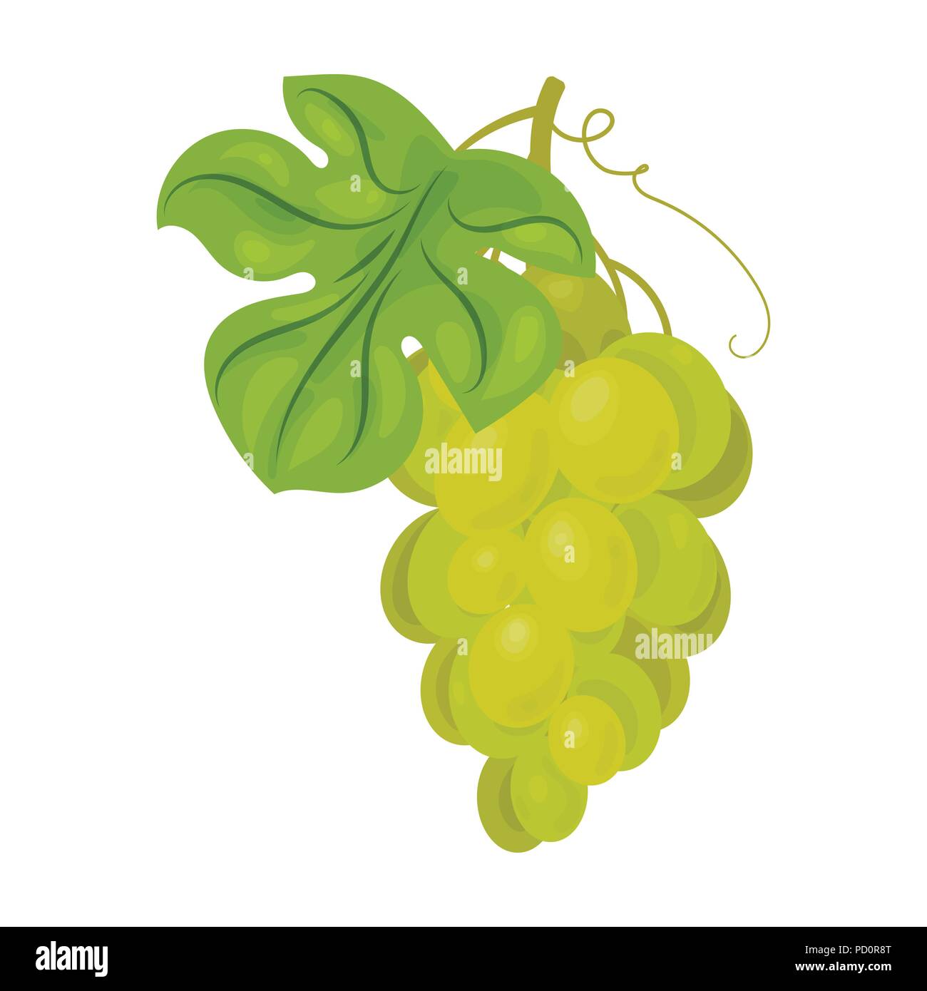 Bunch of yellow grapes icon in cartoon design isolated on white ...