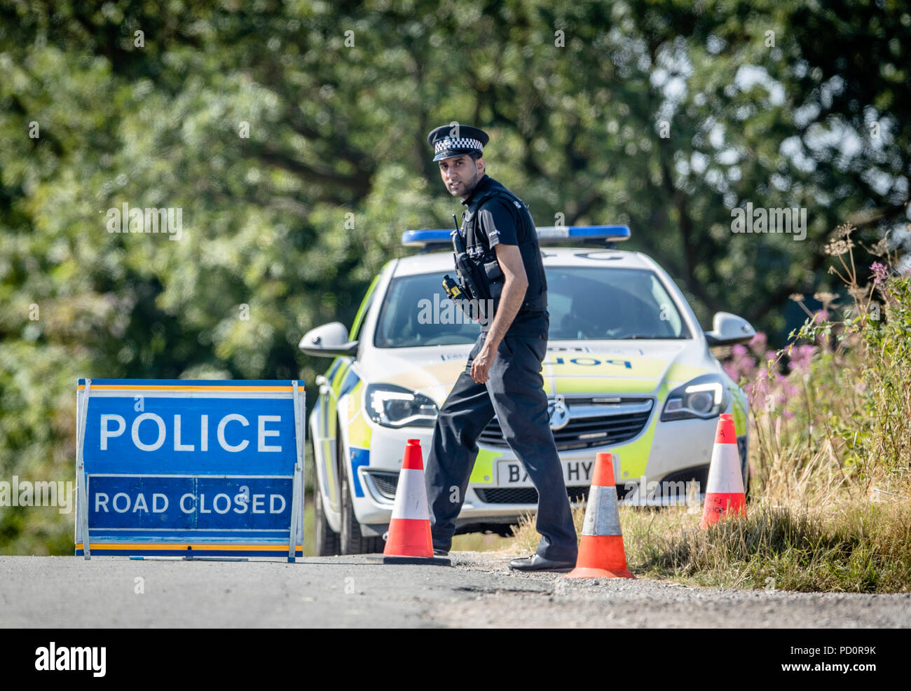 Body search hi-res stock photography and images - Alamy