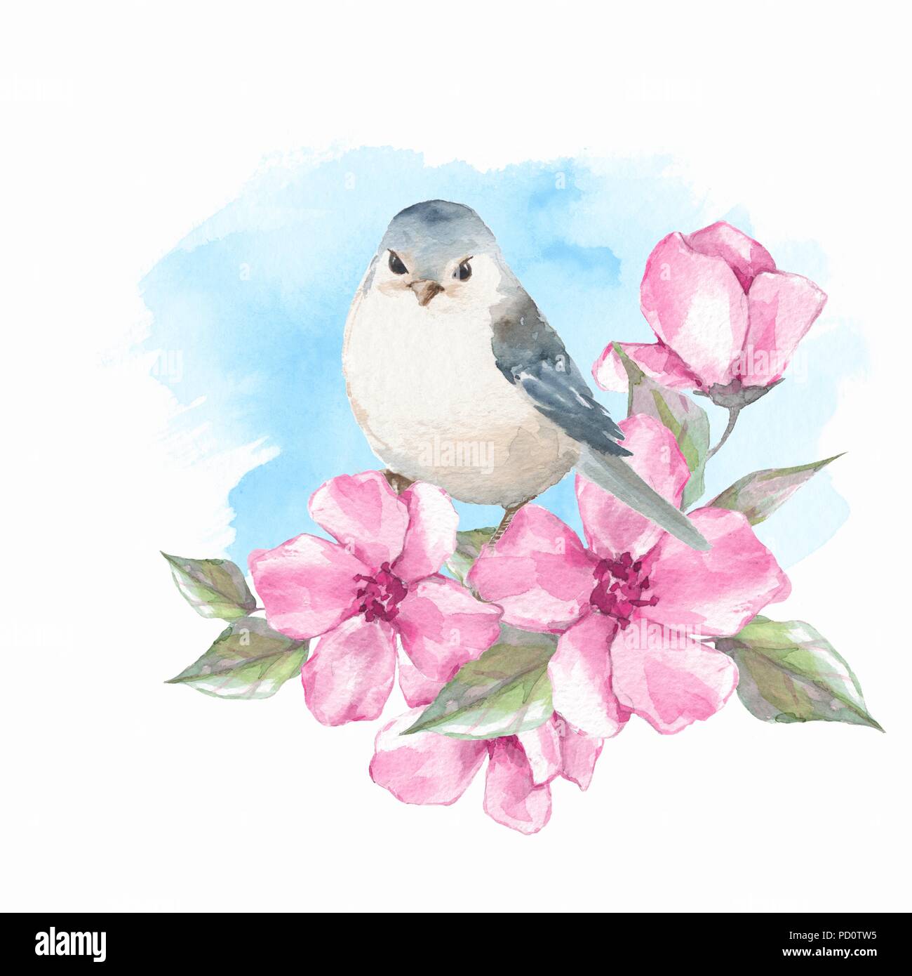 Bird and flowers. Watercolor painting Stock Photo - Alamy