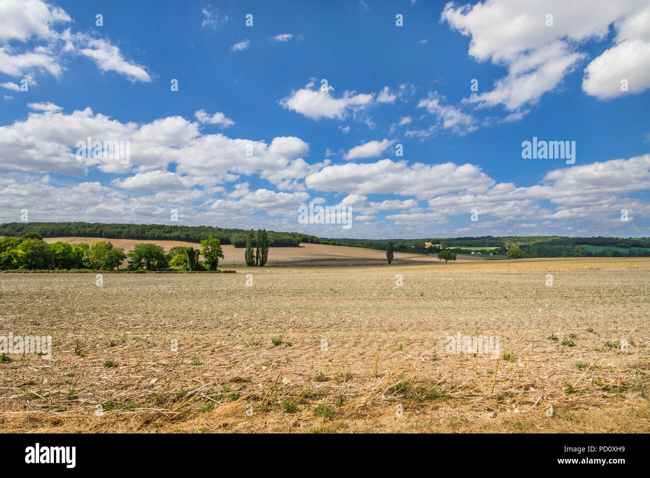 Farmland stubble after the harvest, France Stock Photo - Alamy