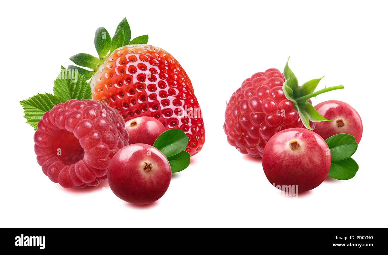 Mooseberry High Resolution Stock Photography and Images - Alamy