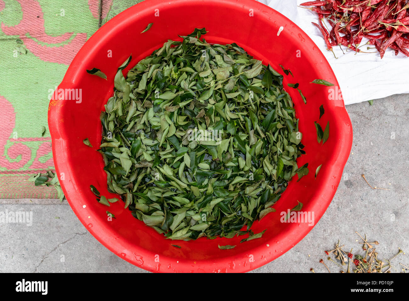 Indian Curry leaves washed and soaked in Water in a large tub Stock ...