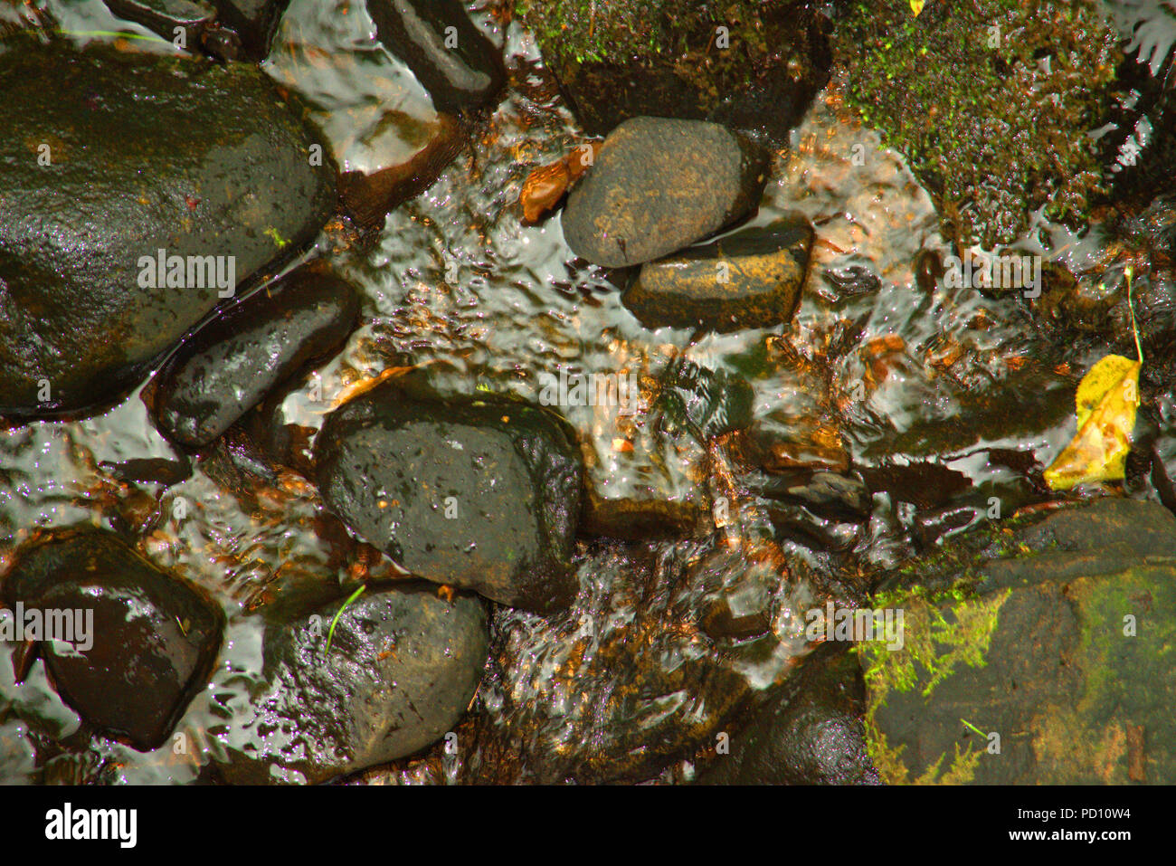 Rocks and stones in a flowing stream Stock Photo - Alamy