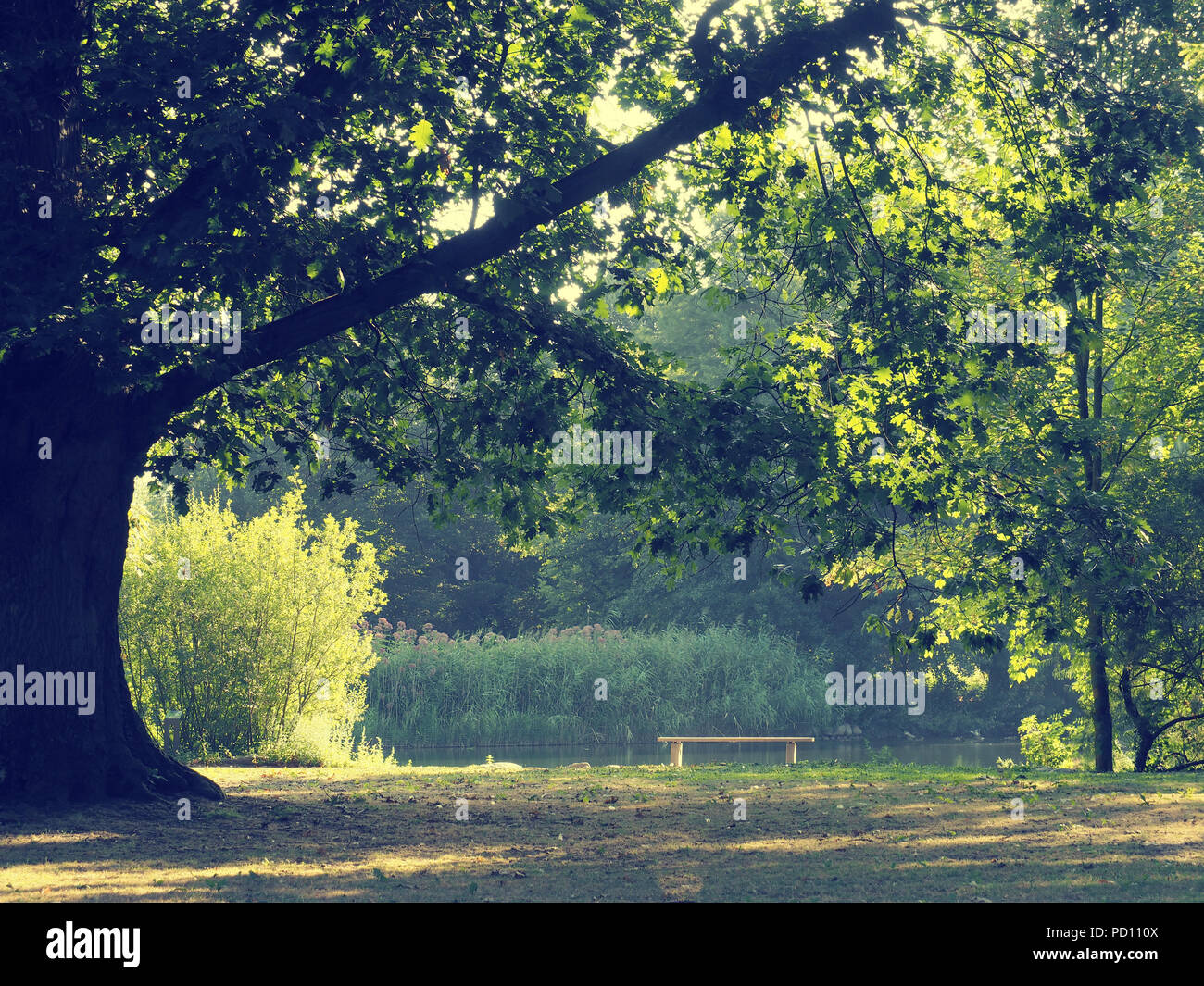 Autumn lakeside park empty bench hi-res stock photography and images ...