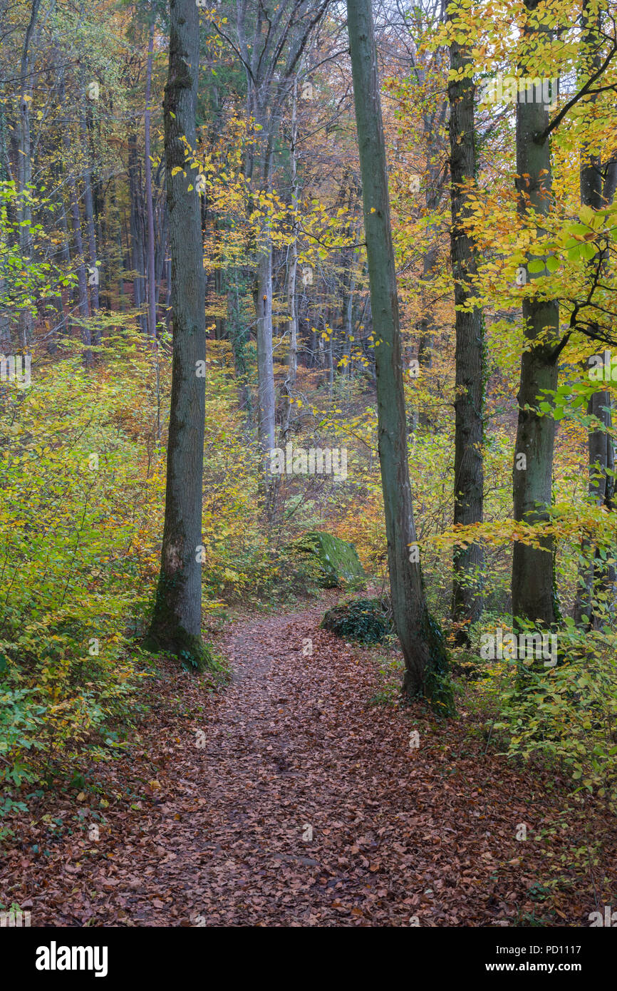Scenic views of the hiking path Mullerthal trail in Luxembourg Europe ...