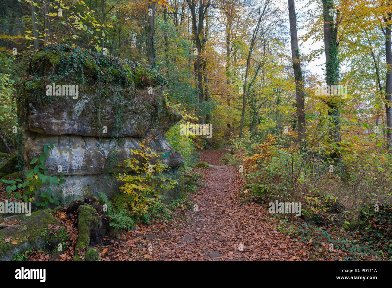 Scenic views of the hiking path Mullerthal trail in Luxembourg Europe ...