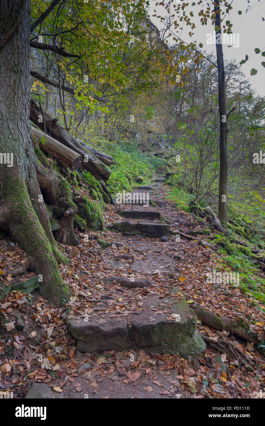 Scenic views of the hiking path Mullerthal trail in Luxembourg Europe ...