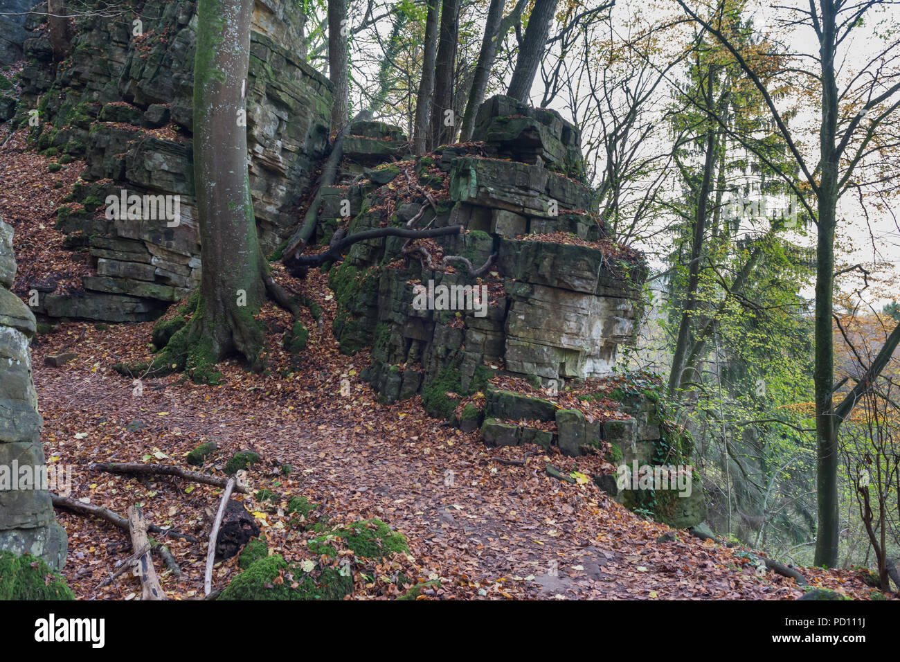 Scenic views of the hiking path Mullerthal trail in Luxembourg Europe ...