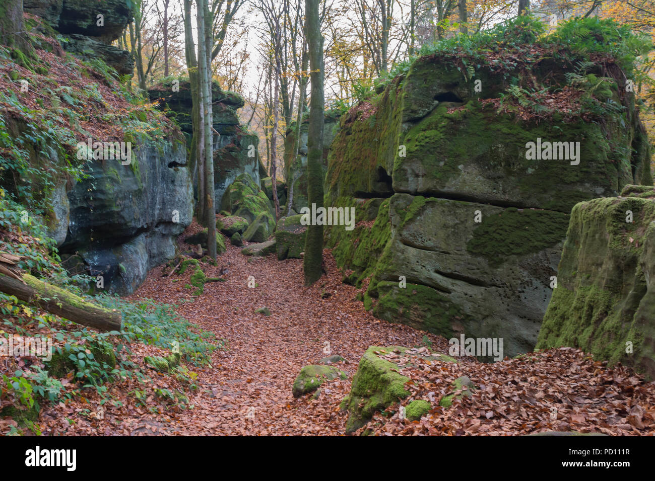 Scenic views of the hiking path Mullerthal trail in Luxembourg Europe ...