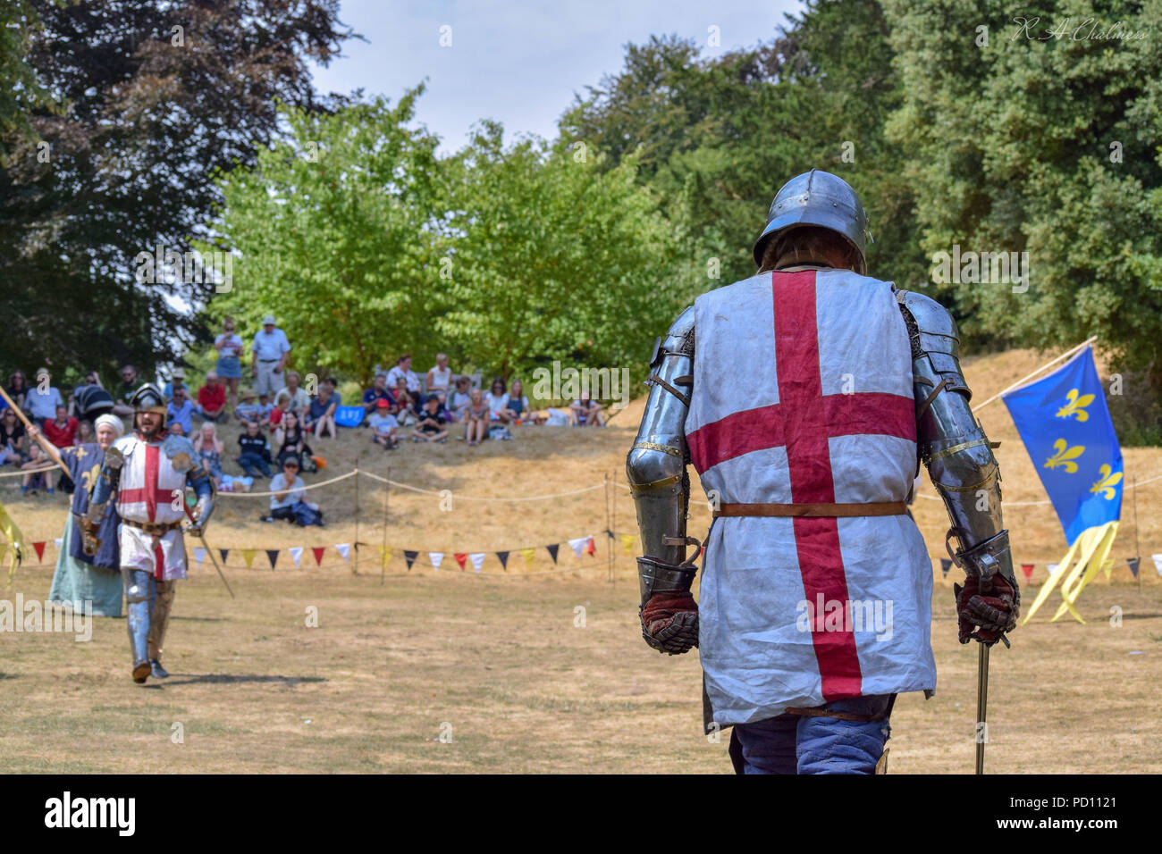 Raven tor hi-res stock photography and images - Alamy