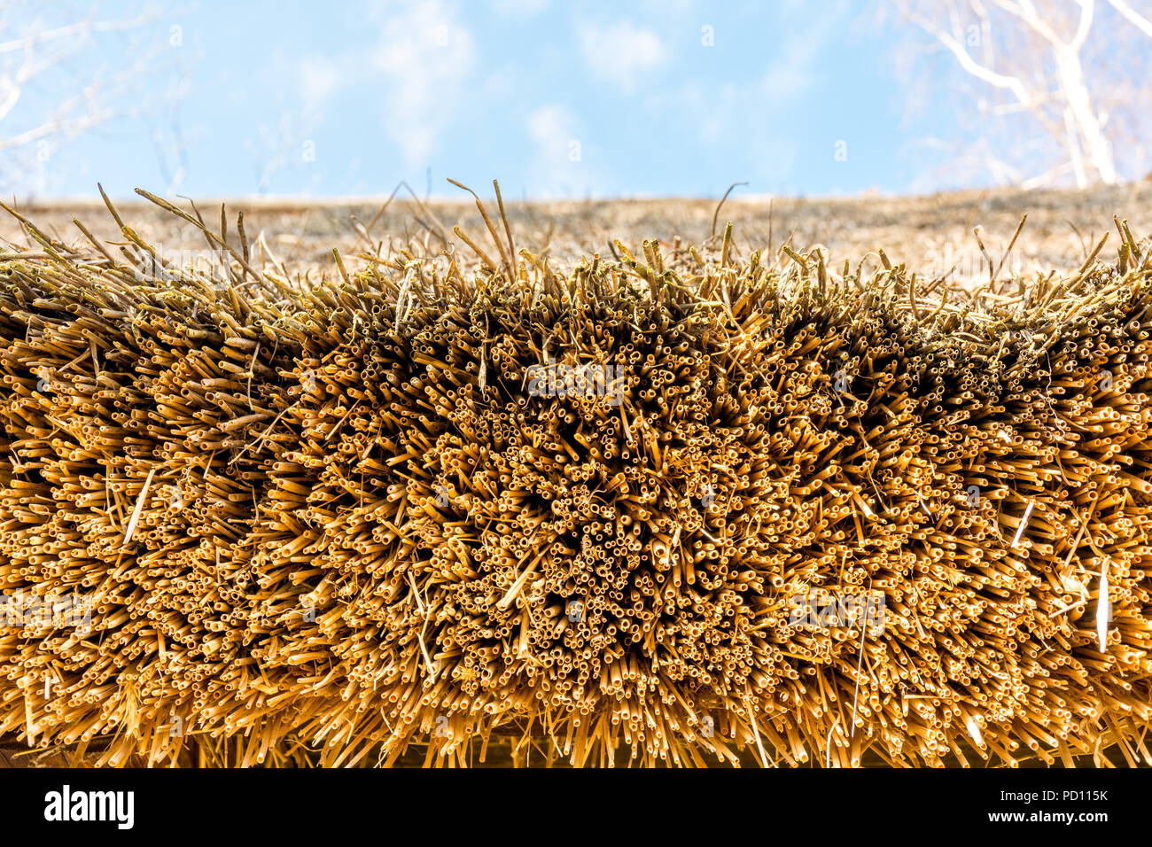 The thatched roof is laid by armfuls of straw alternately by birth. An ...
