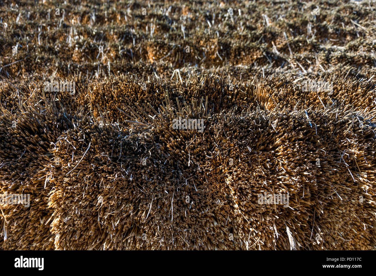 The thatched roof is laid by armfuls of straw alternately by birth. An ...