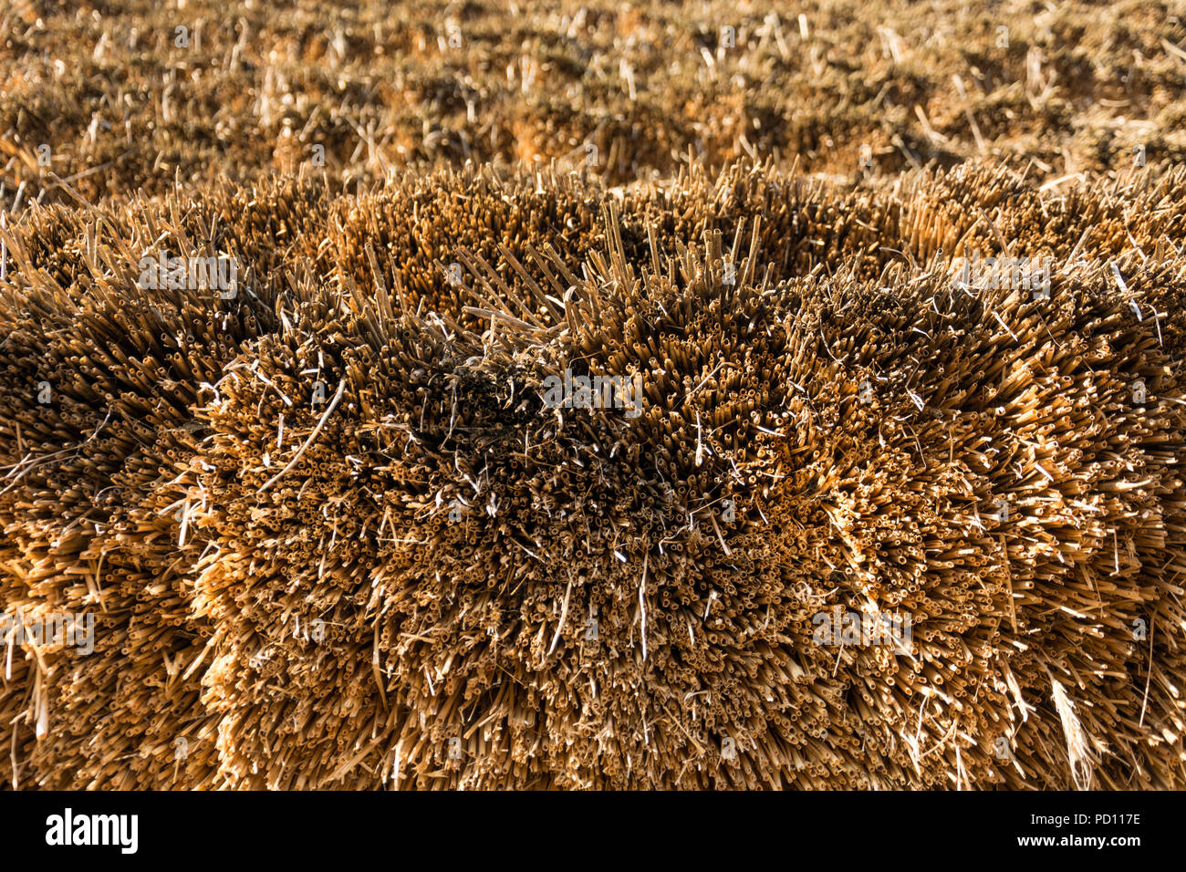 The thatched roof is laid by armfuls of straw alternately by birth. An ...