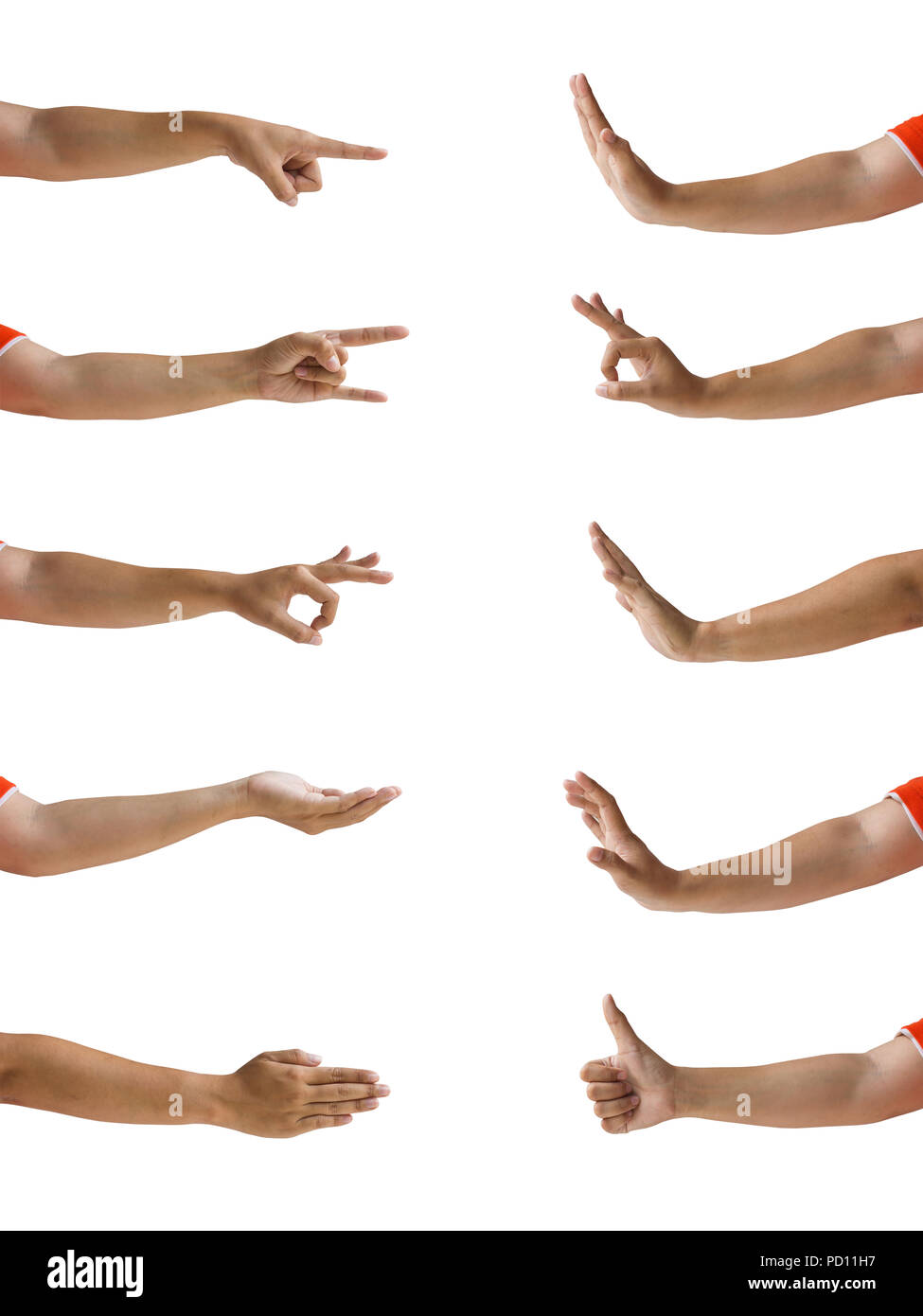 Clipping path of hands isolated : Multiple female hand gesture ...