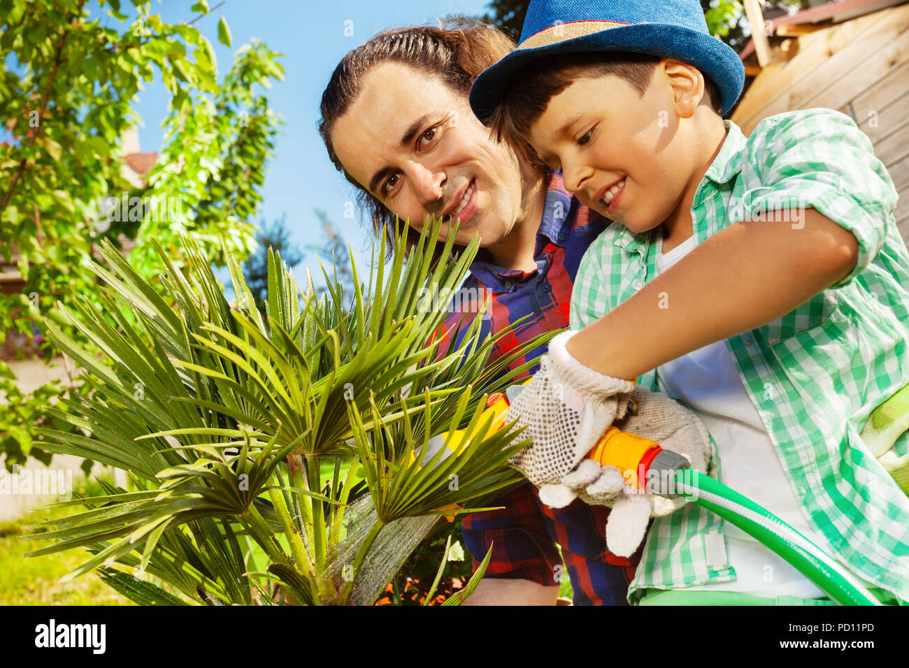 Father and son working together in the garden Stock Photo - Alamy