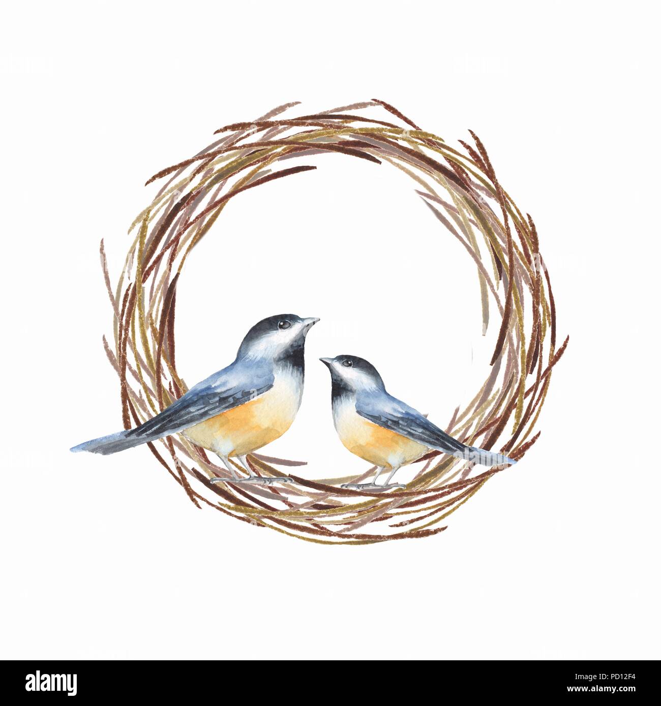 Drawing small bird nest Cut Out Stock Images & Pictures - Alamy