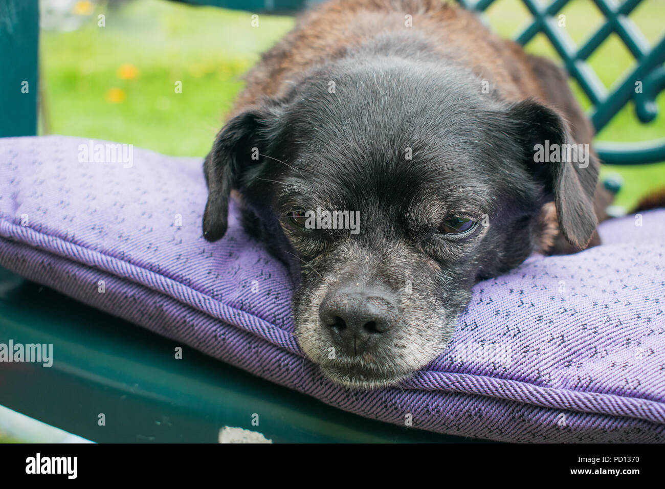 Tired family member hi-res stock photography and images - Alamy