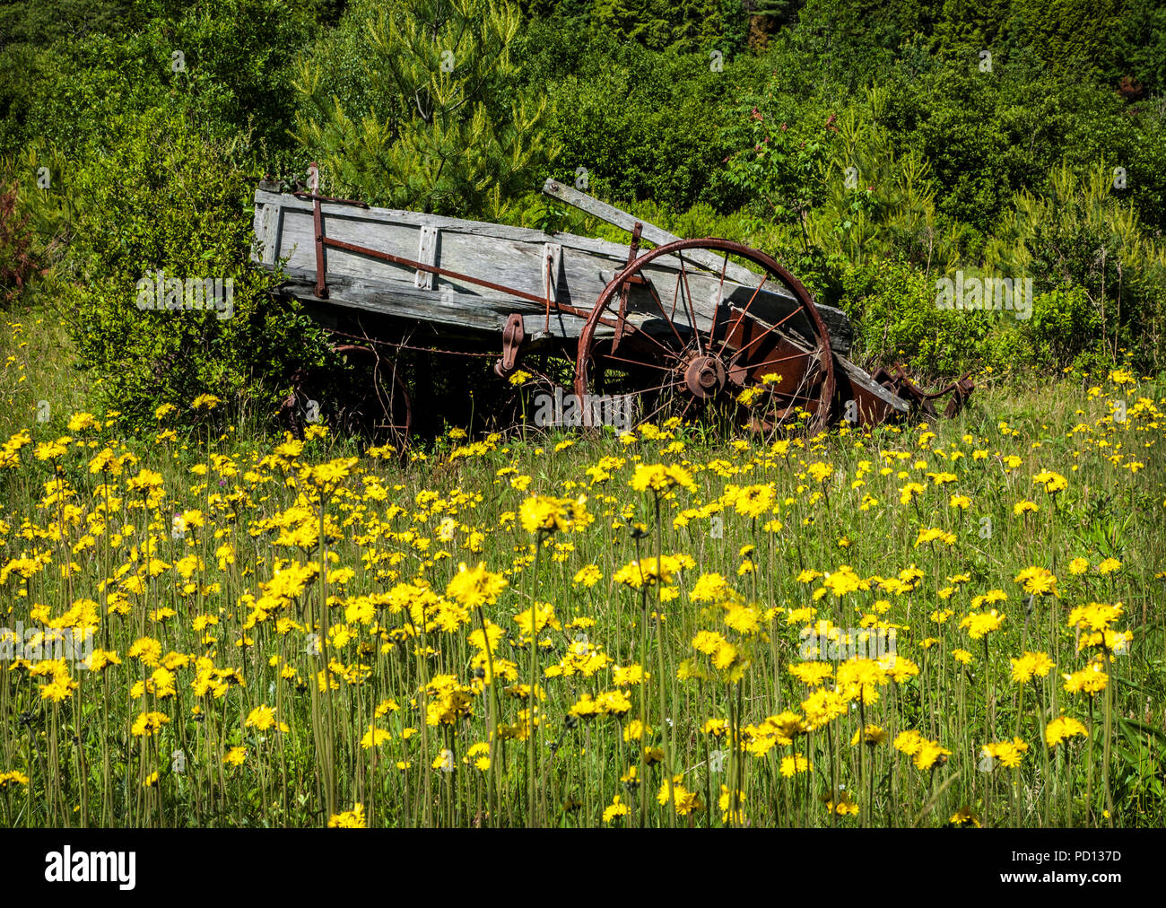Broken and rusty farm wagon hi-res stock photography and images - Alamy