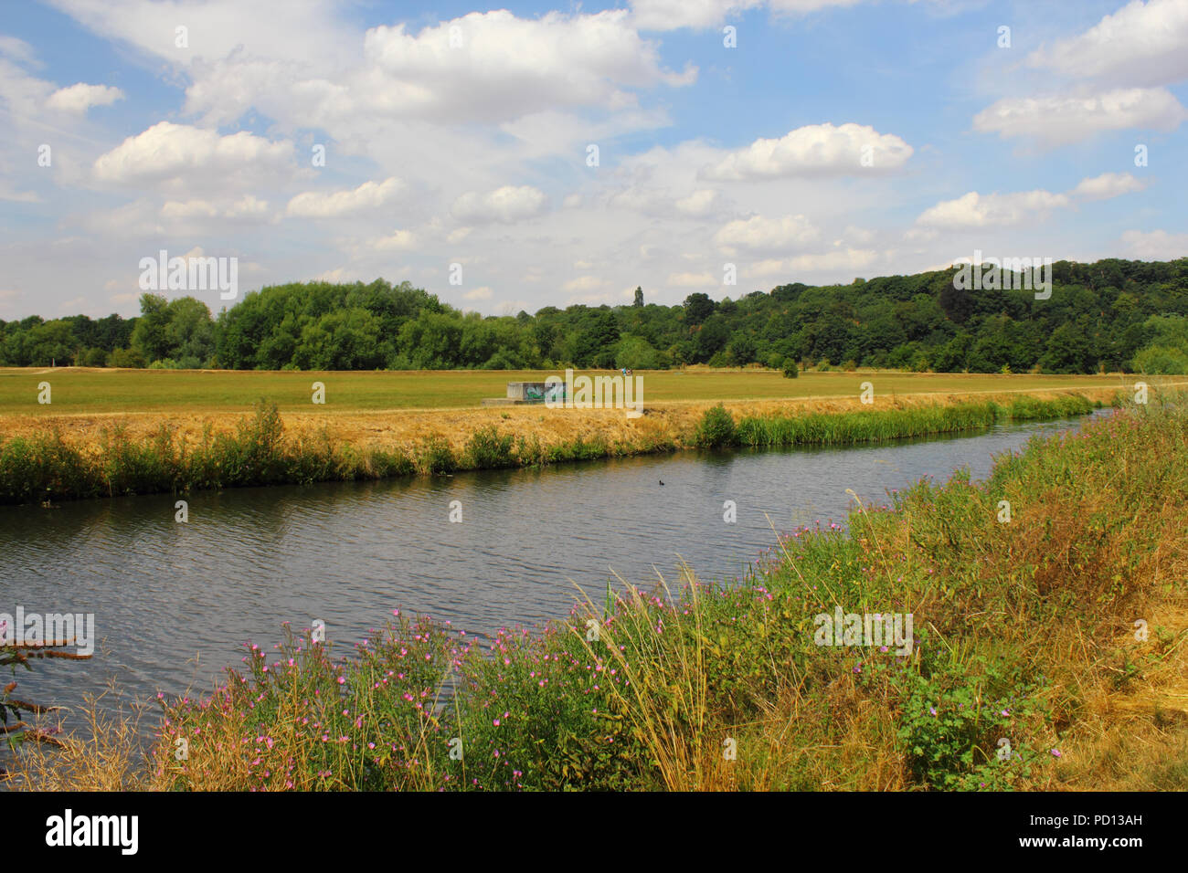 Hartham park hi-res stock photography and images - Alamy