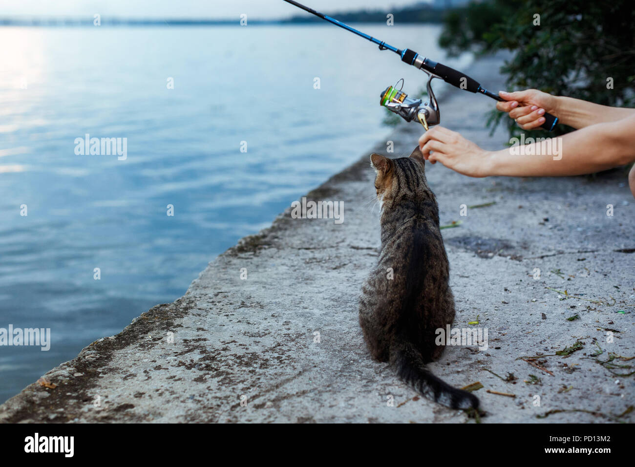 cat and fisherman with fishing rod wheel Stock Photo - Alamy