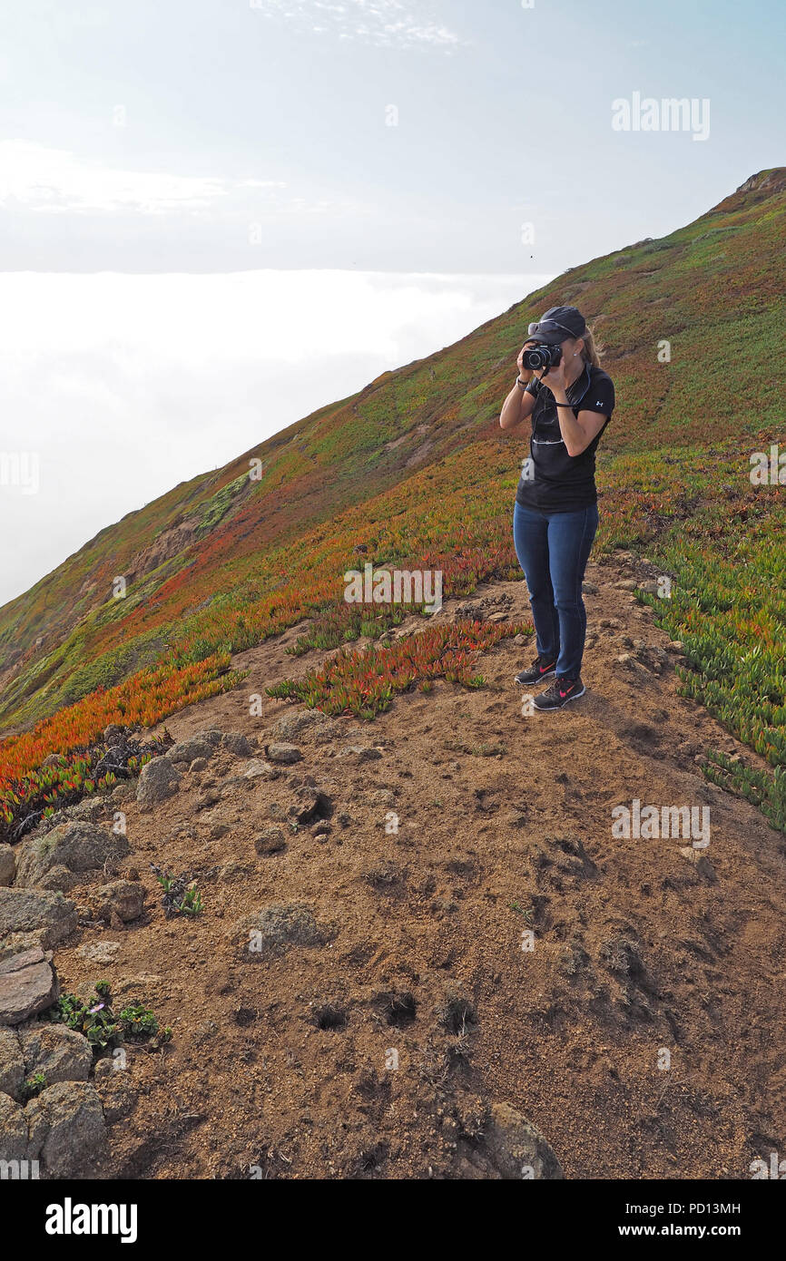 Woman hiking and photographing the rugged landscape of Point Reyes ...