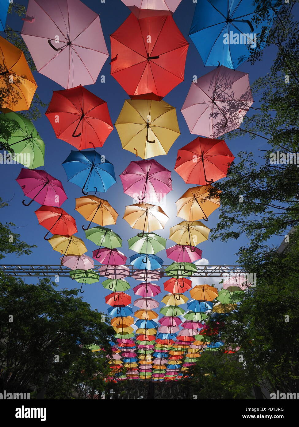 Umbrella Sky in Coral Gables, Florida, a joint art project by the City ...