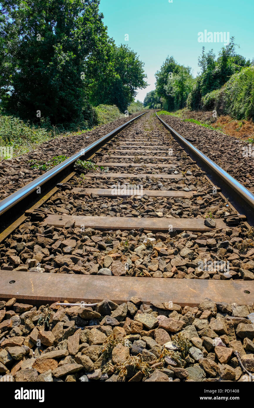 Railway track on the Exmouth to Exeter Avocet line, East Devon, England ...