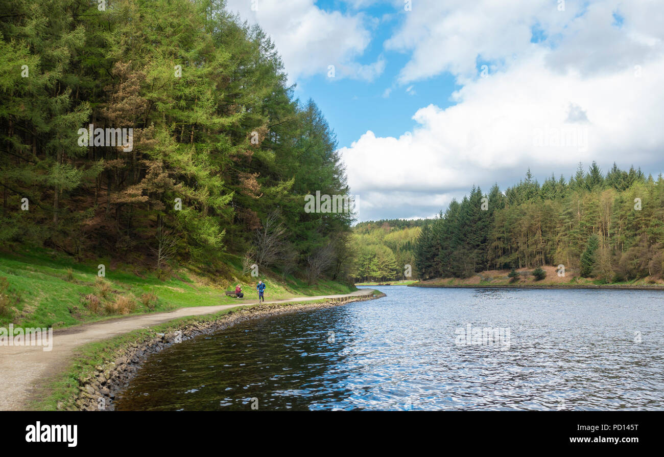 Entwistle reservoir in Edgeworth, Bolton, Lancashire, England Stock ...
