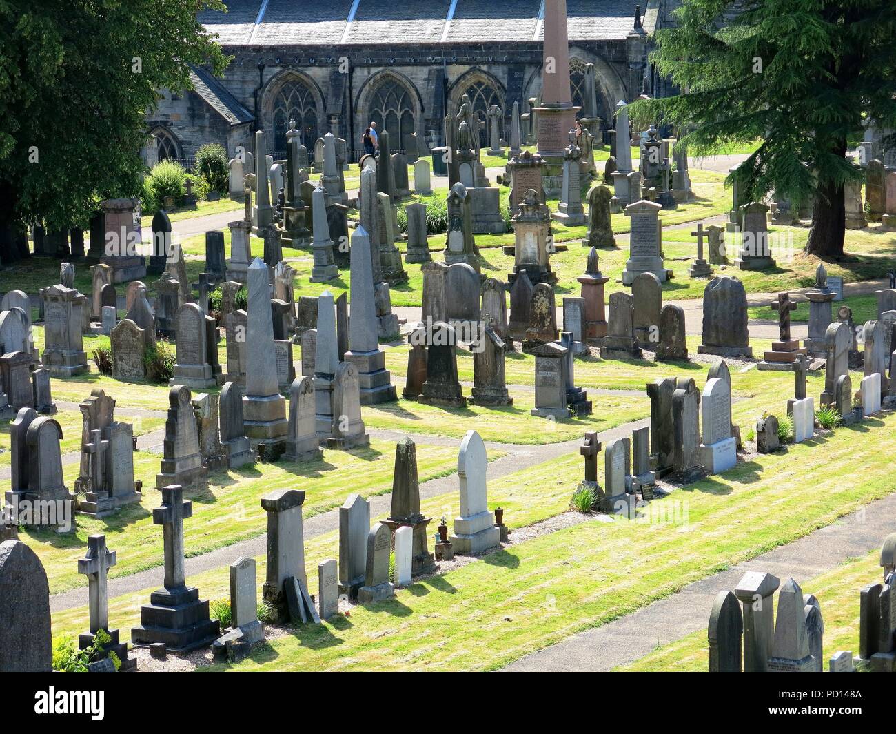 Living and nonliving hi-res stock photography and images - Alamy