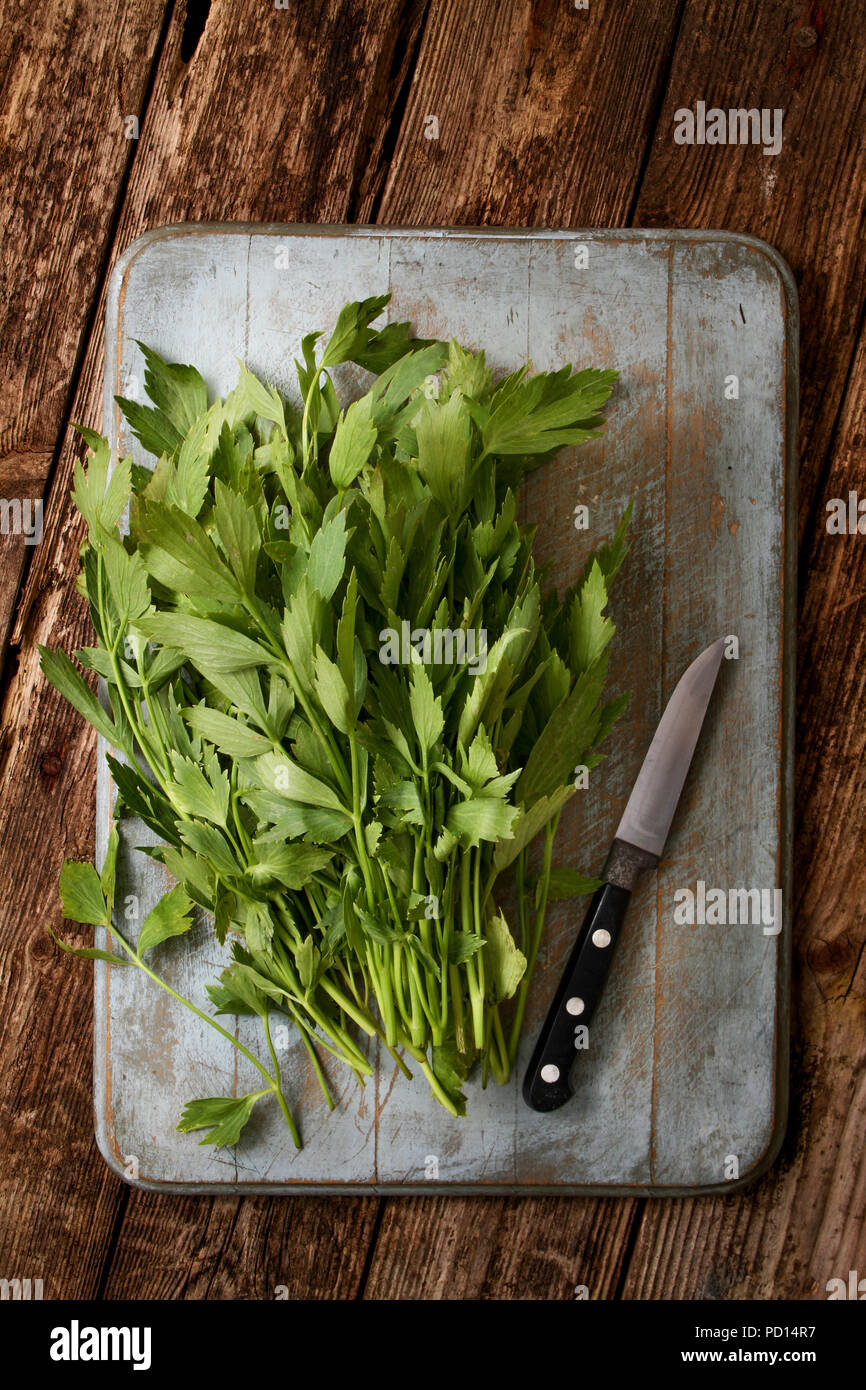 fresh flat leaf parsley bunch Stock Photo - Alamy