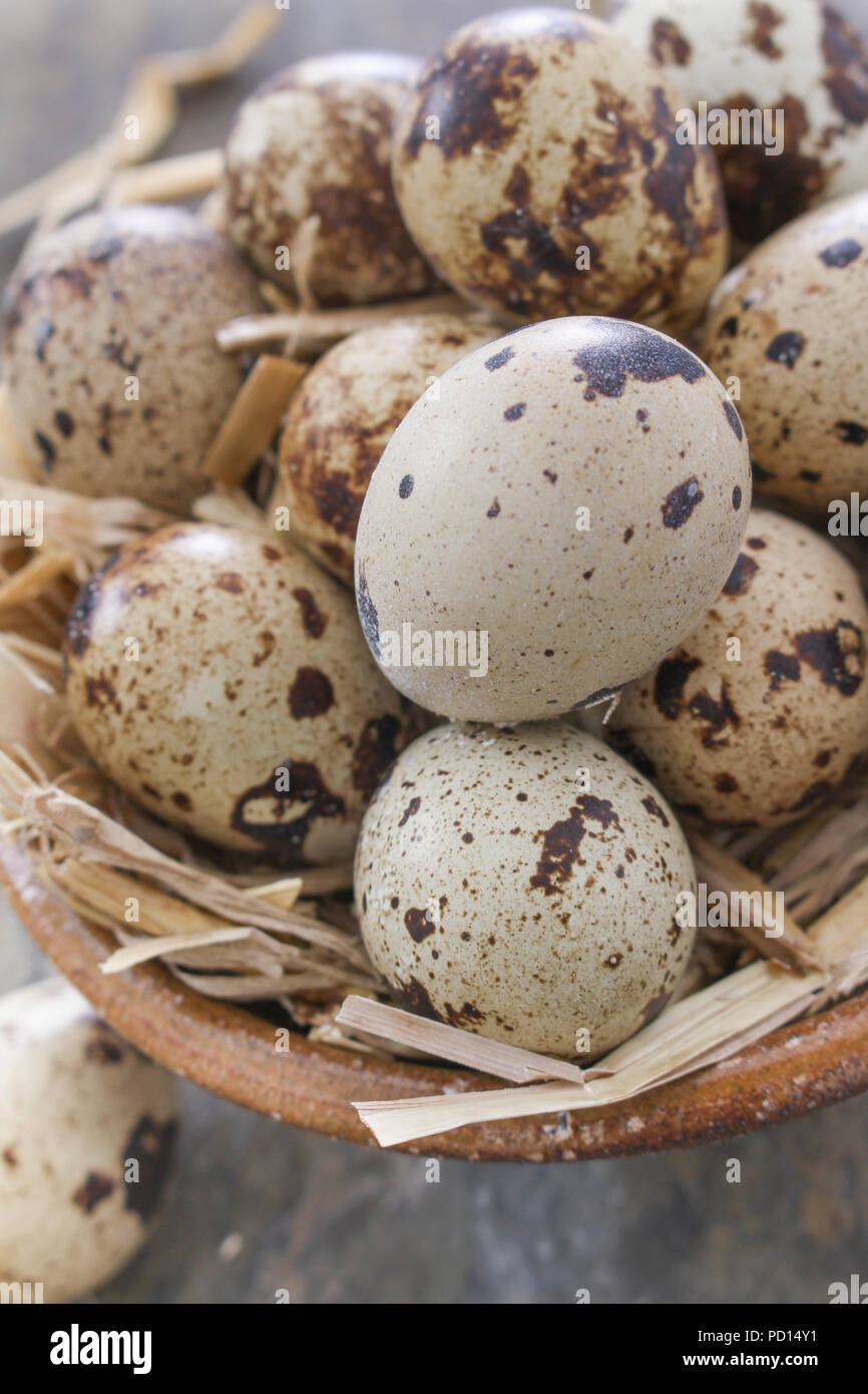 Quali eggs hi-res stock photography and images - Alamy