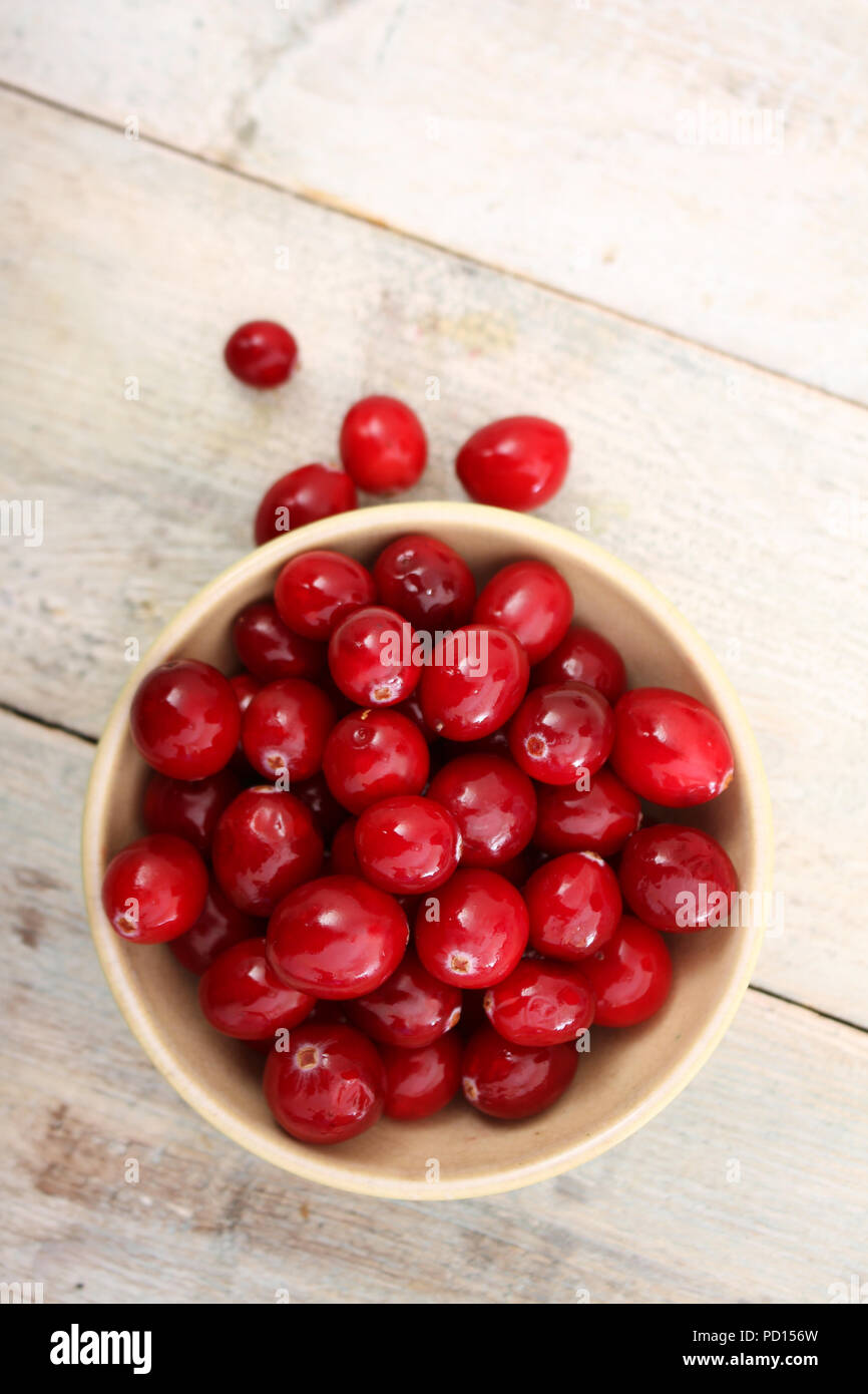 Washed cranberries hi-res stock photography and images - Alamy