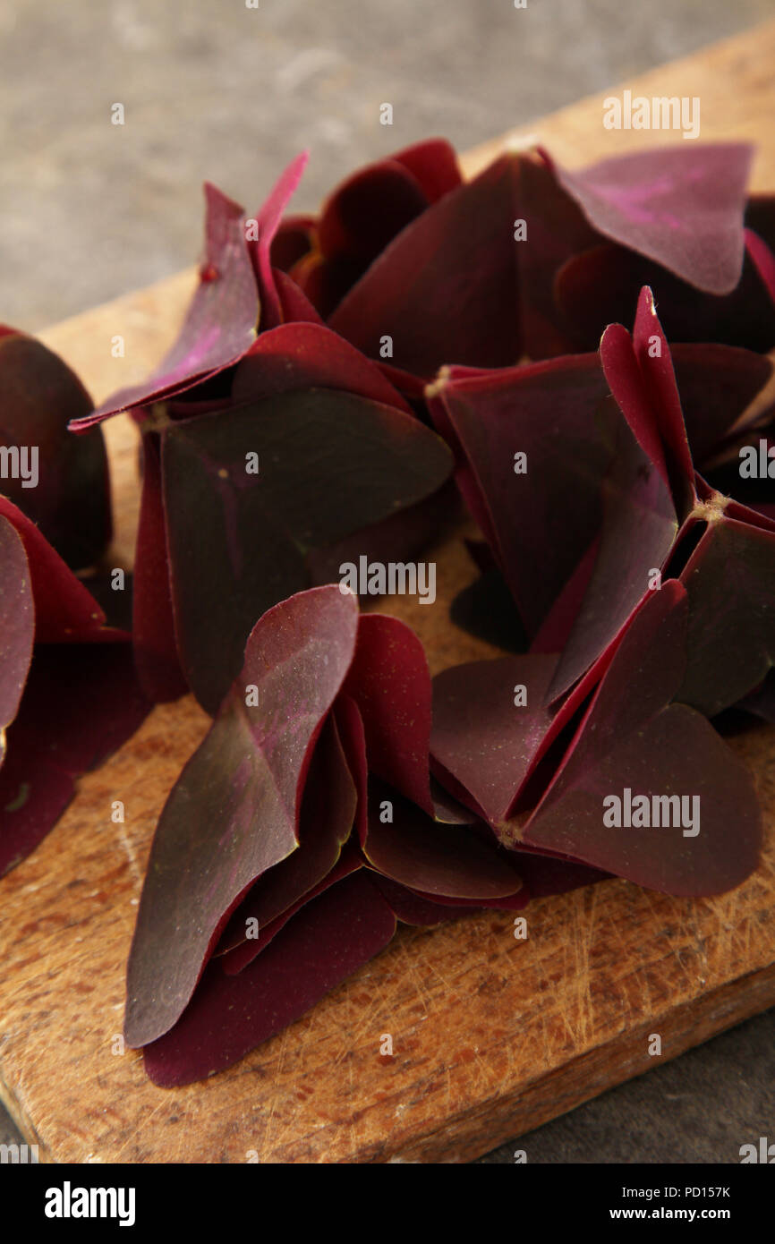 Micro Sorrel Leaves High Resolution Stock Photography and Images - Alamy