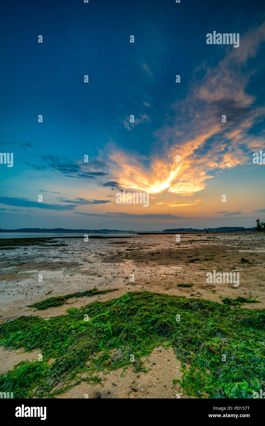 Sunrise at Pasir Ris Beach in Singapore Stock Photo - Alamy