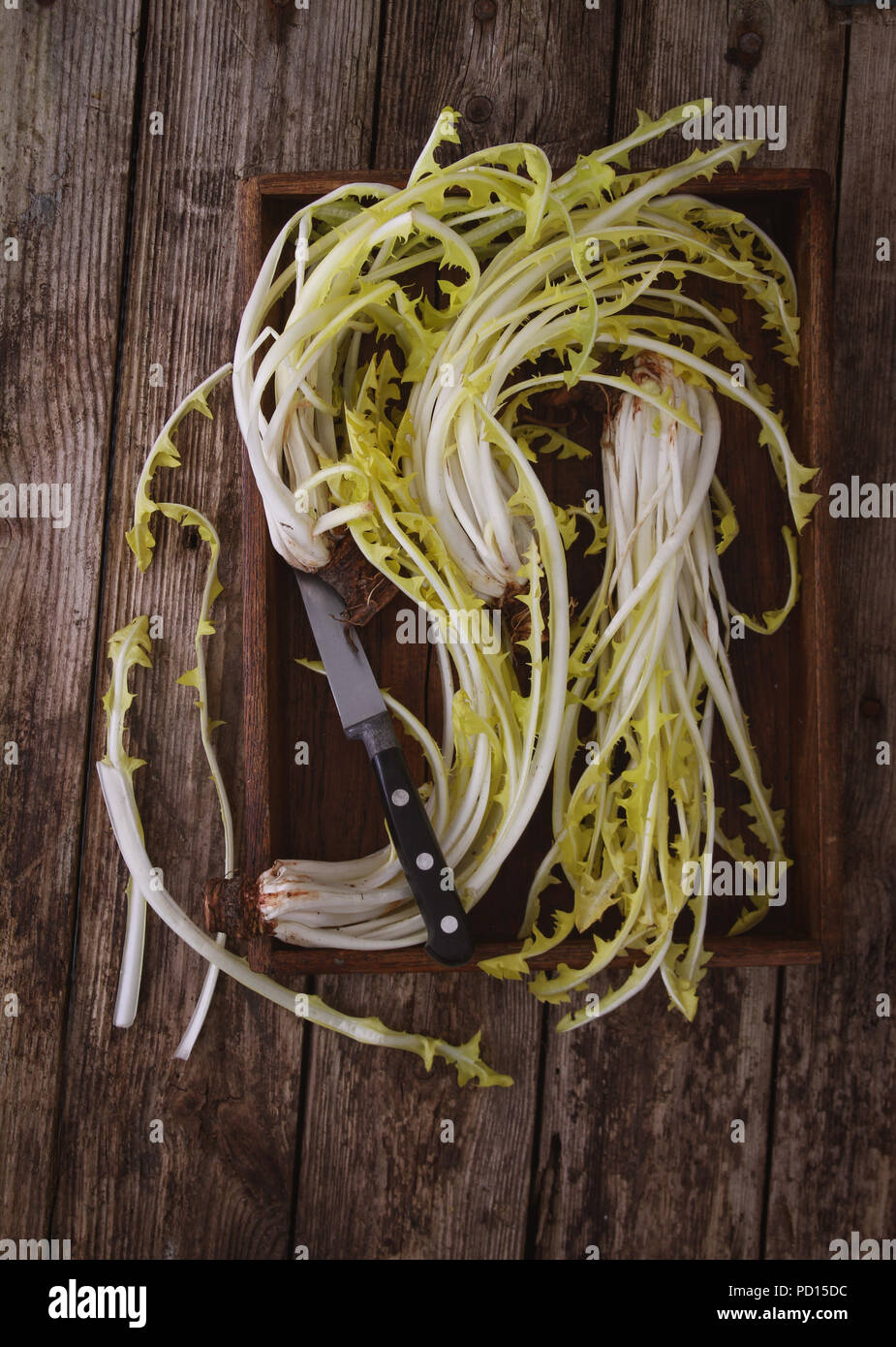 Health benefits of dandelion hi-res stock photography and images - Alamy