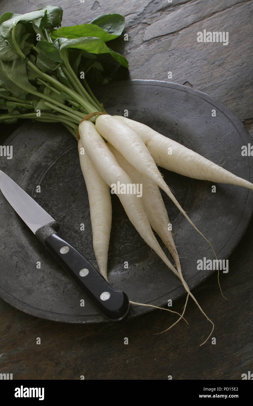 Napiform root hi-res stock photography and images - Alamy