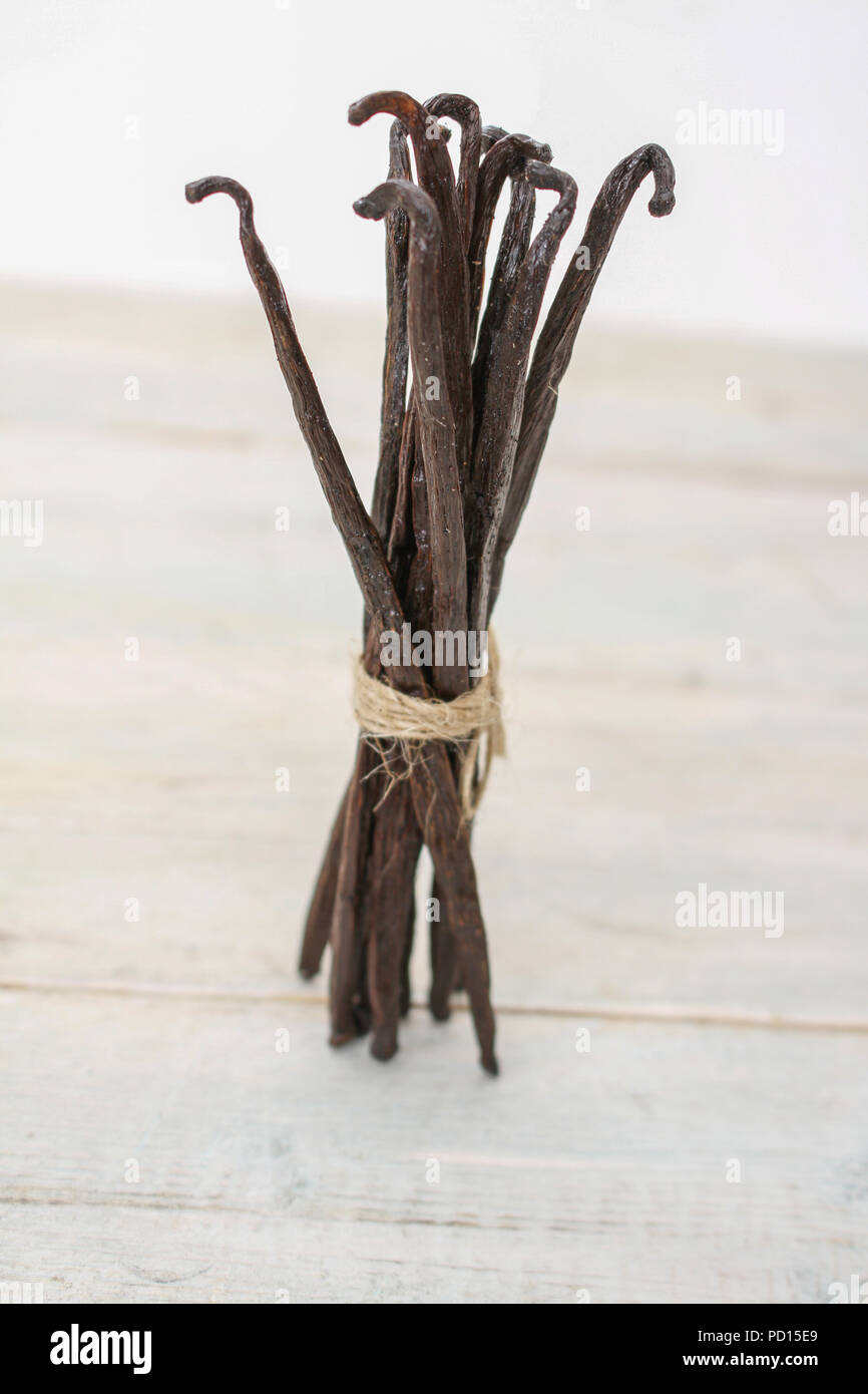 Vanilla planifolia seed pods hi-res stock photography and images - Alamy