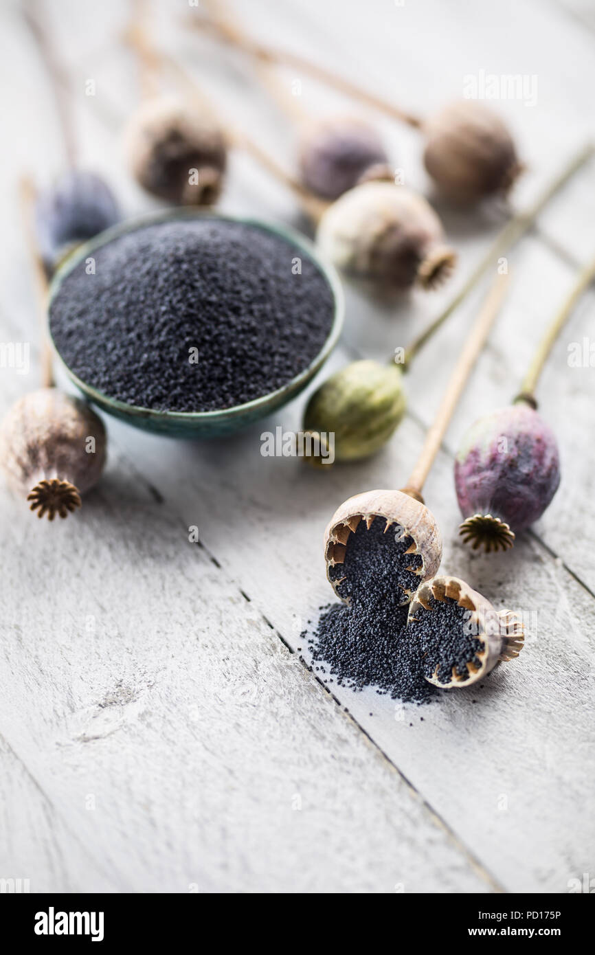 Poppy seed with their heads on wooden boards Stock Photo - Alamy