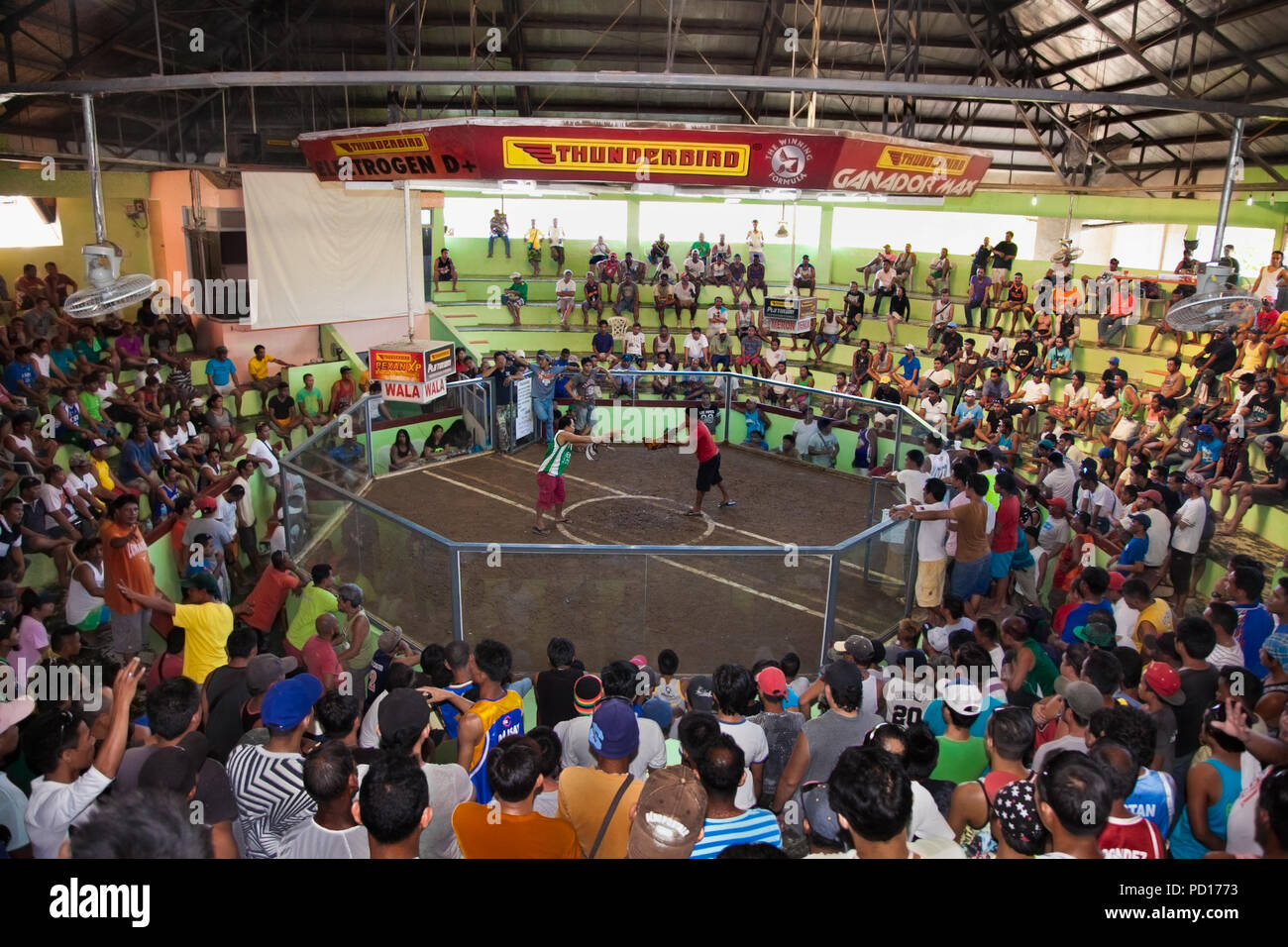 Cockfight arena hi-res stock photography and images - Alamy