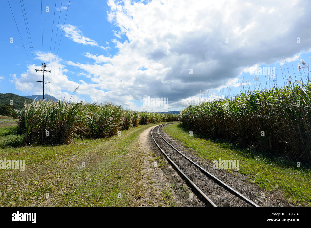 Sugarcane railway hi-res stock photography and images - Alamy