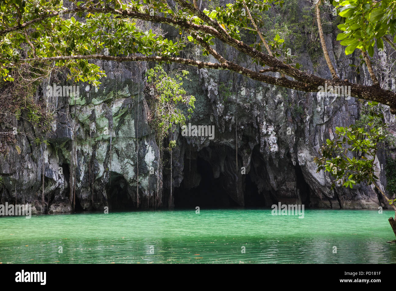 Entrance in cave of Puerto Princesa subterranean underground river. Palawan, Philippines. It's ...
