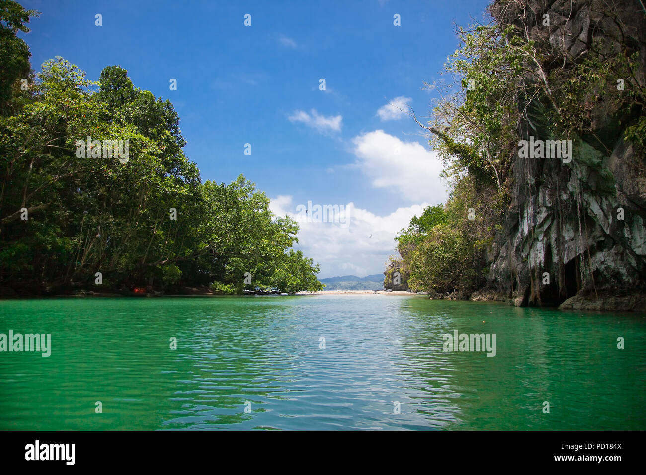 River in the tropical jungle at Palawan island. Philippines Stock Photo ...