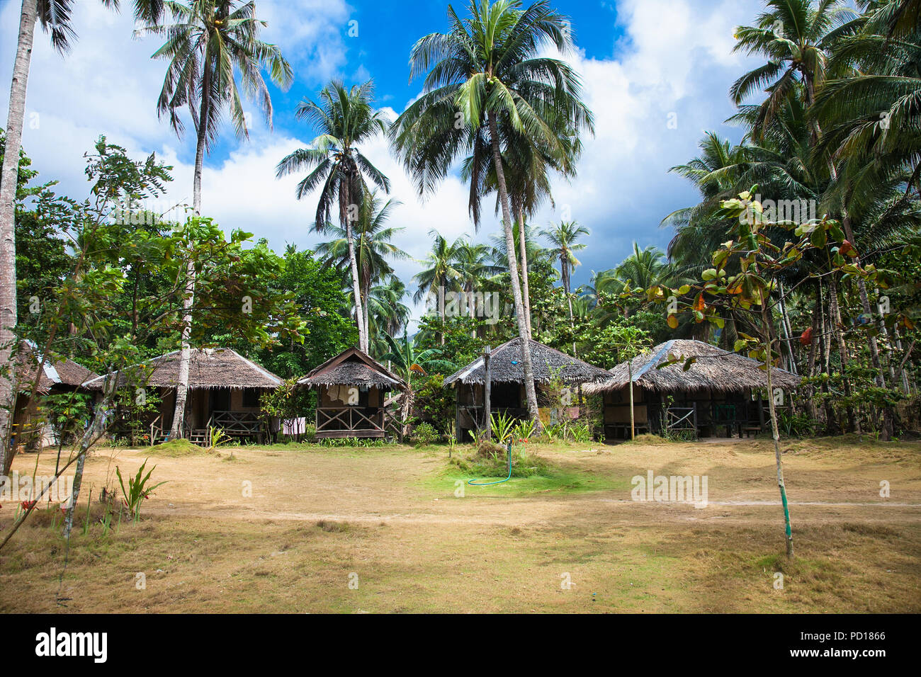 Traditional huts with palms at Palawan island, Philippines Stock Photo ...