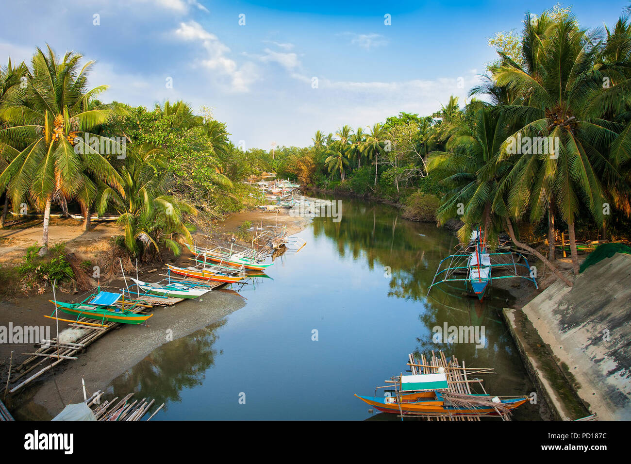 Tropical river flows through mangroves and palm trees in northern ...