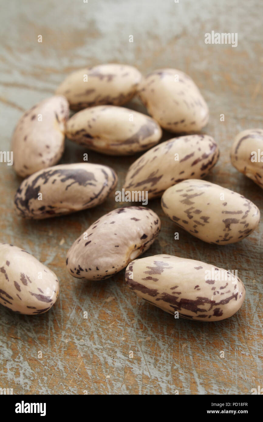 fresh raw borlotti beans Stock Photo - Alamy