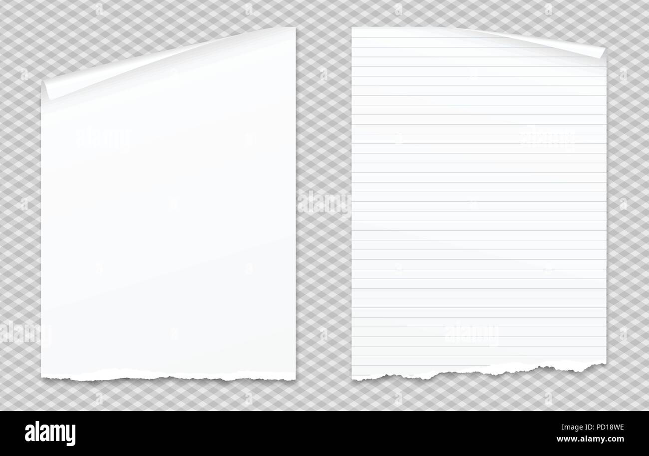 Set of white torn notebook paper with curled corner for text or ...